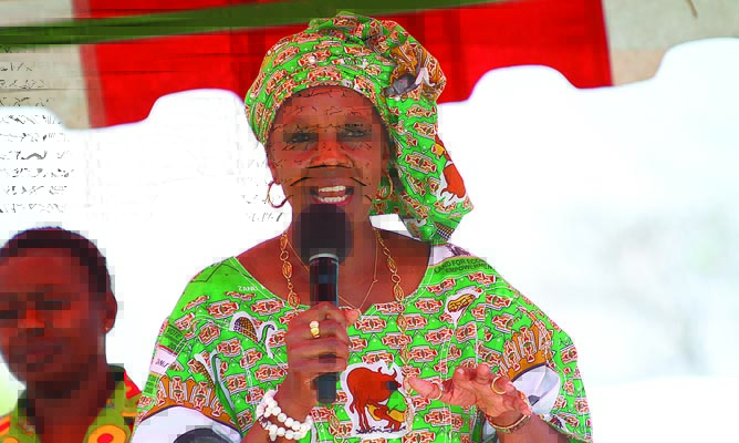Grace Mugabe: Zimbabwe's fiercely loyal first lady | News24