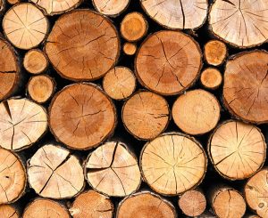 As Zimbabwe's forests fall, timber shortage tightens screws on ...