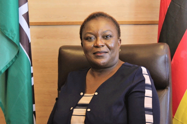 Ema condemns the destruction of wetlands - Zimbabwe Situation