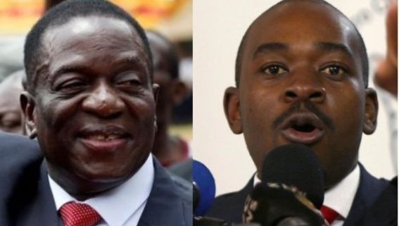 ZANU-PF, CCC biggest political parties: Afrobarometer survey - Zimbabwe ...