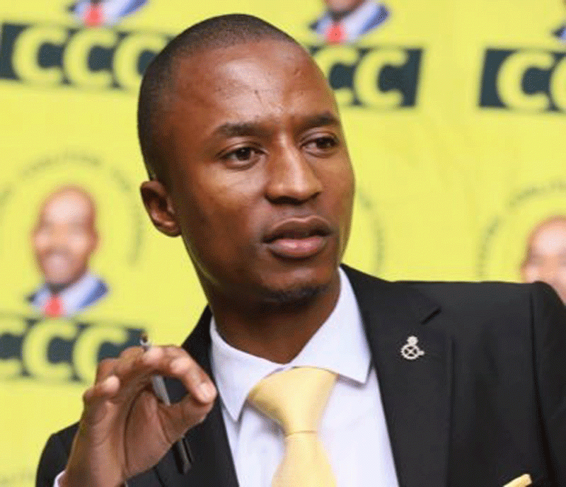 RG's Office frustrating urban voters: CCC - Zimbabwe Situation