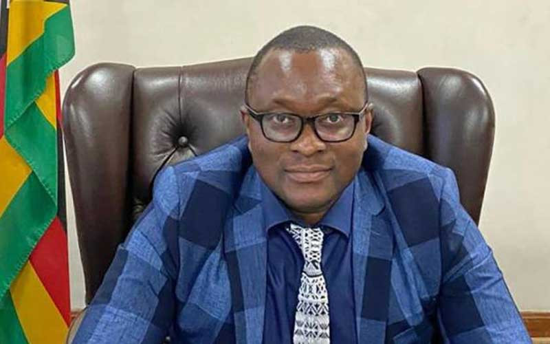 Zanu PF CC elections marred by violence - Zimbabwe Situation