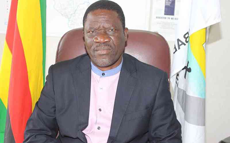 Zec throws police under the bus - Zimbabwe Situation
