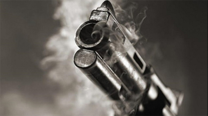 Neighbour in court over High Court judge shooting - Zimbabwe Situation
