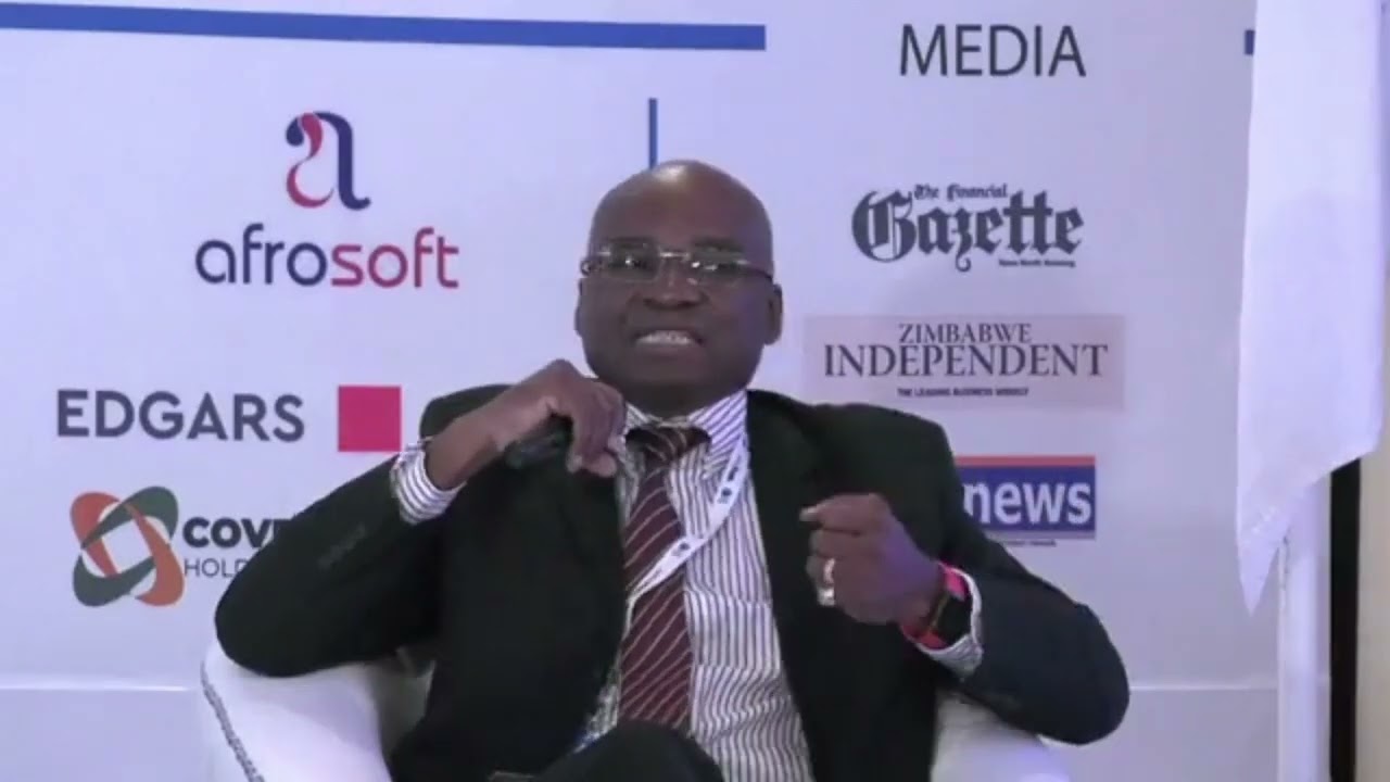 Biti, Chris Mutsvangwa Square Off At A Victoria Falls Conference ...