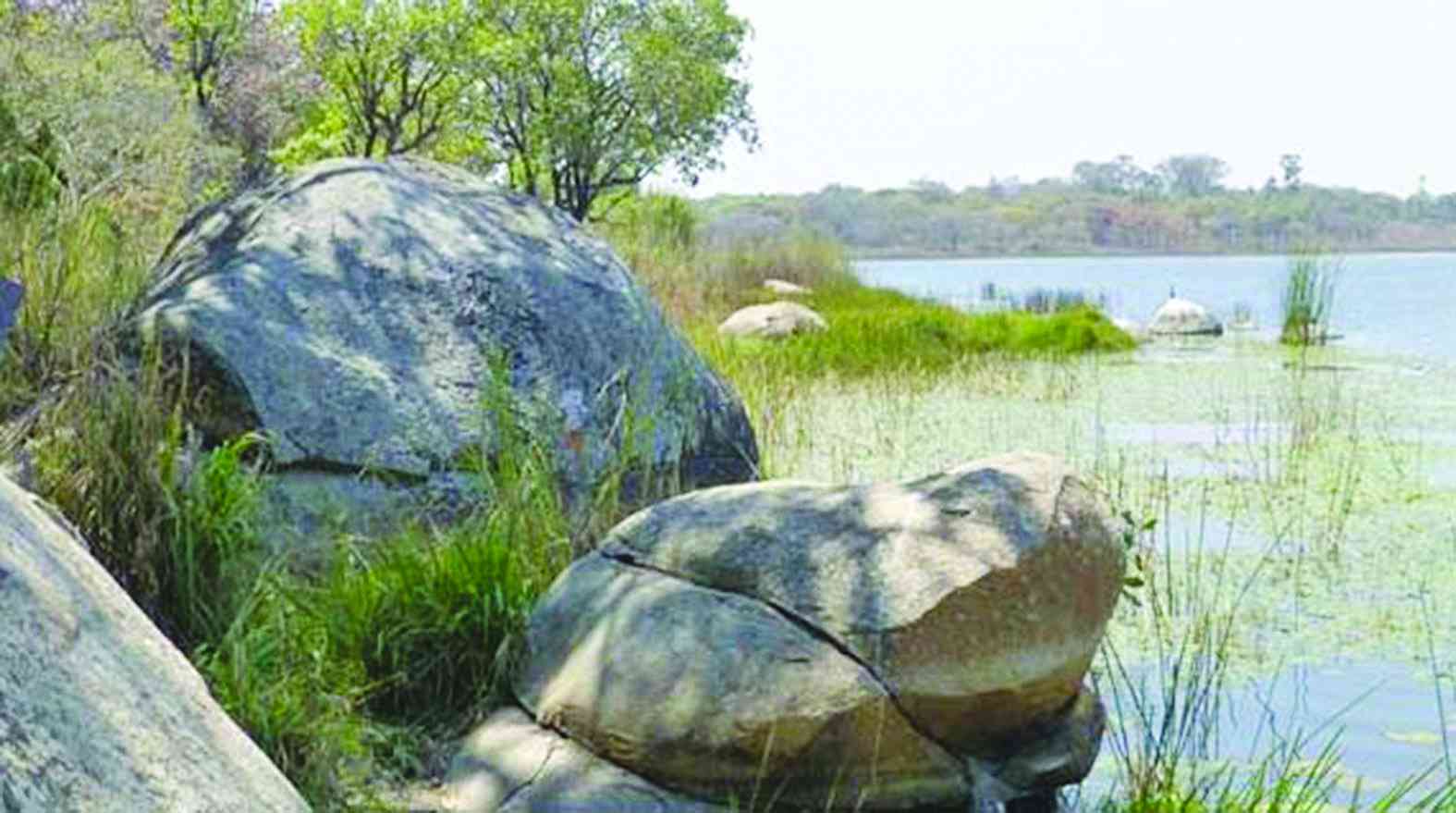 Residents’ concern over destruction of wetlands - Zimbabwe Situation
