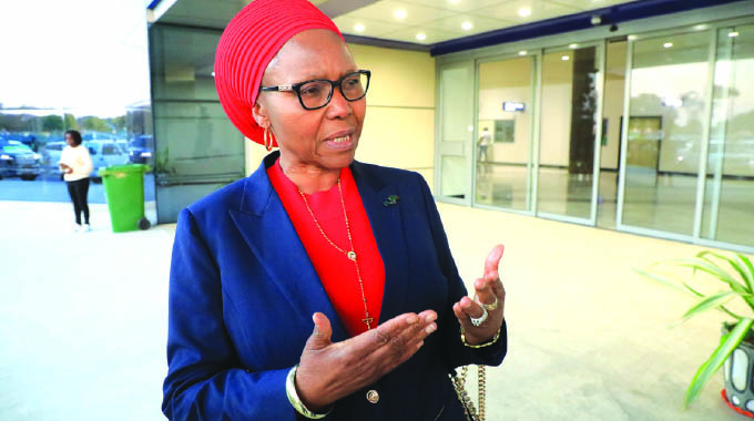 Anti-Zim demo flops dismally in Lusaka - Zimbabwe Situation