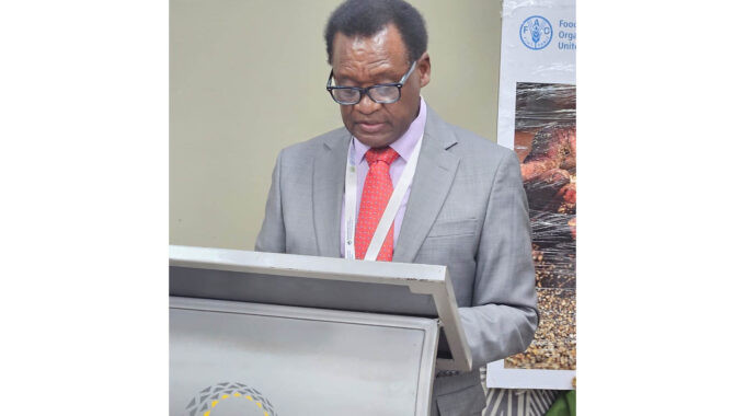 Smallholder farmers disadvantaged in the food security fight - Zimbabwe ...