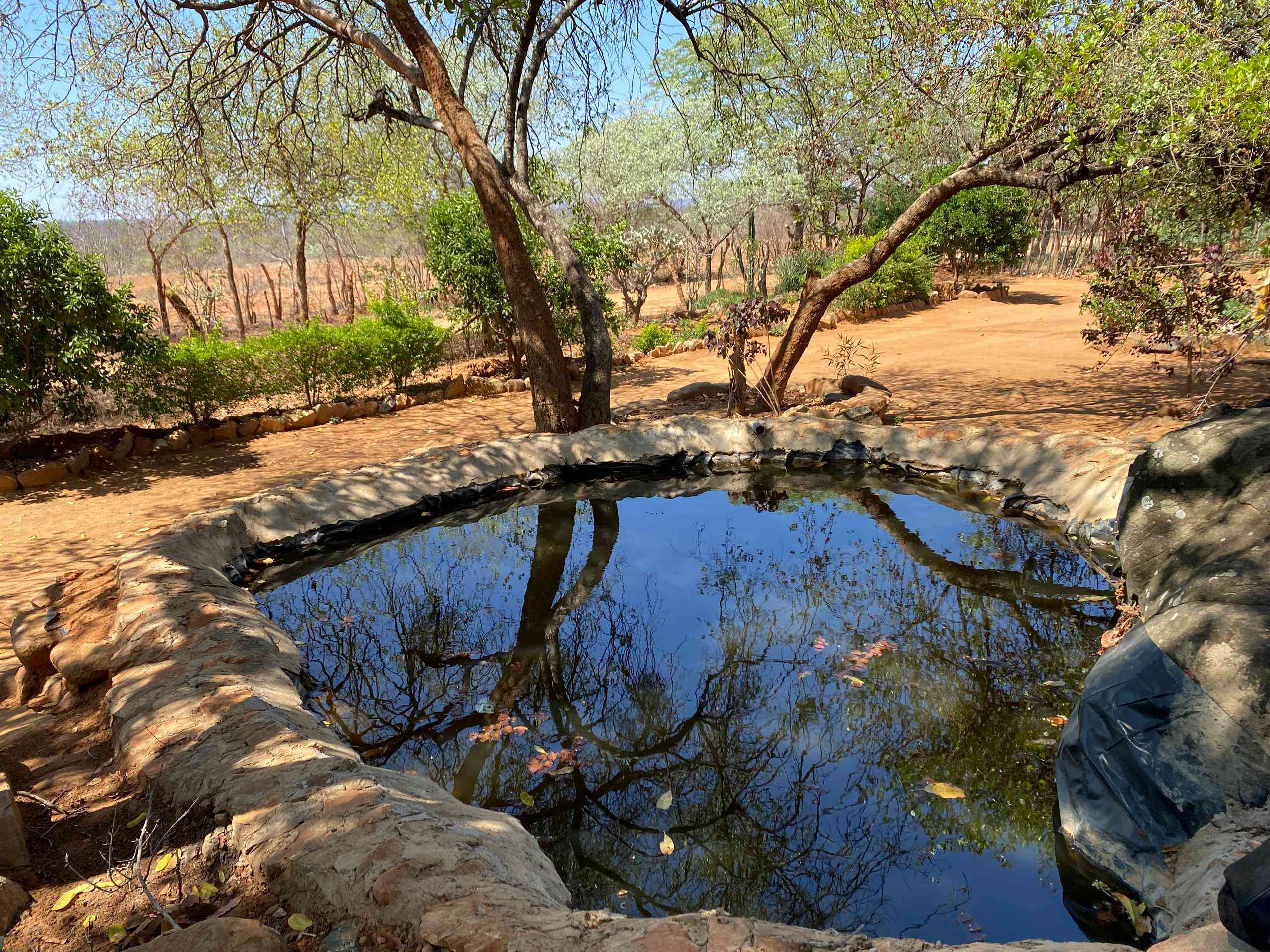 Smallholder farmers embrace fish farming to stave off climate change ...