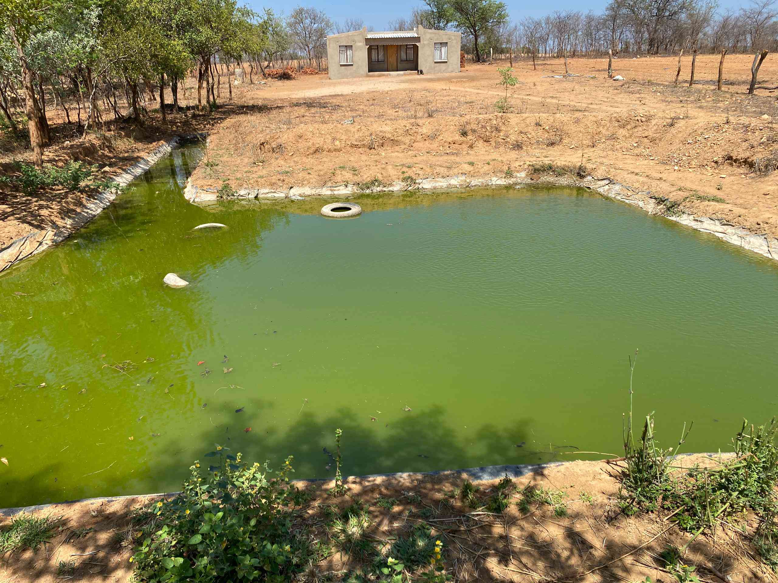 Smallholder farmers embrace fish farming to stave off climate change ...