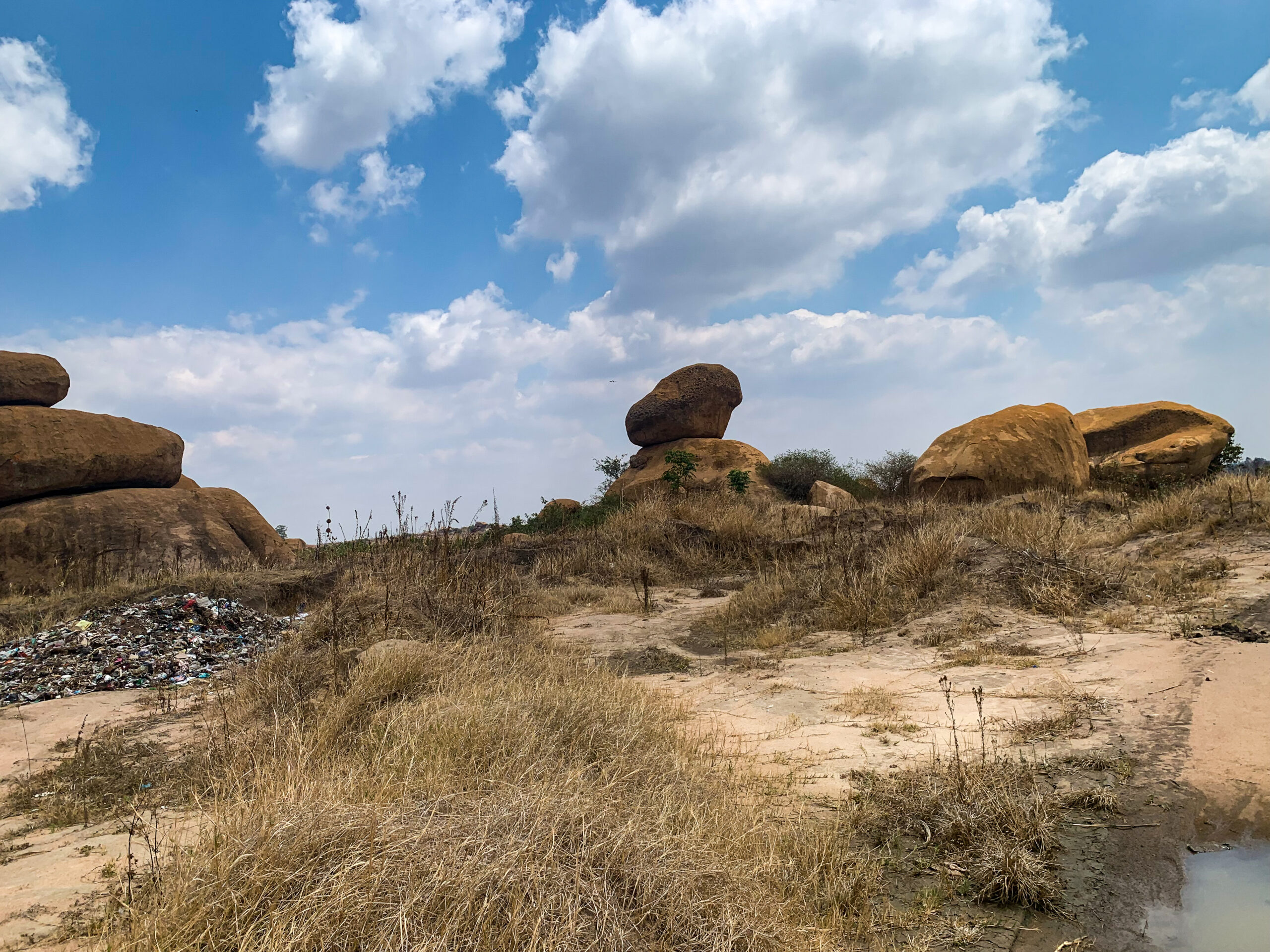 UNESCO and BirdLife Zimbabwe partner to raise awareness of wetlands ...