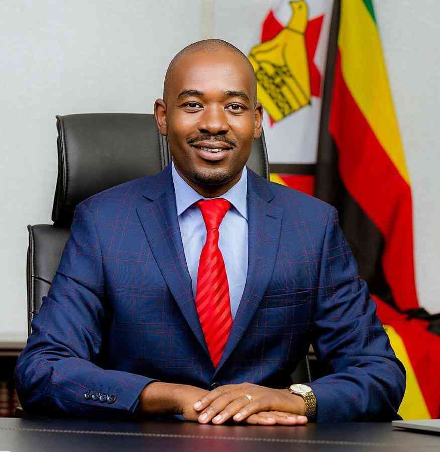 Summon ED to Harare commission: Chamisa - Zimbabwe Situation