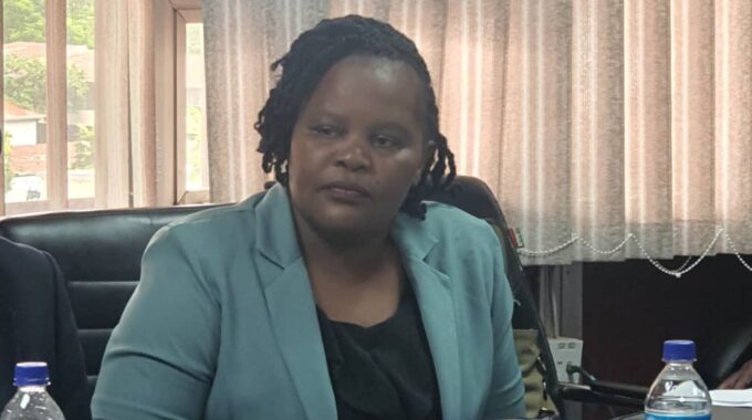 Senior Herald reporter appointed into NAC’s new board - Zimbabwe Situation